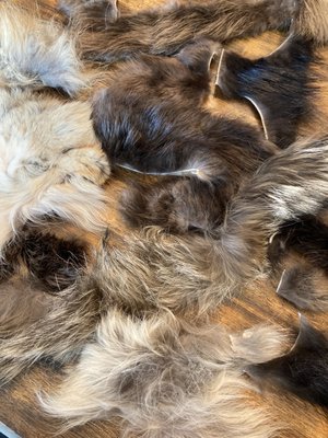 ALASKA FUR EXCHANGE - Updated July 2024 - 472 Photos & 31 Reviews ...