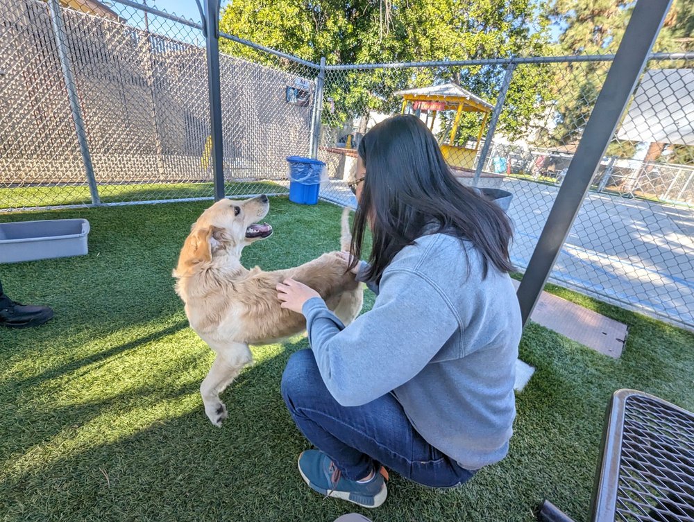 DOWNEY ANIMAL CARE CENTER - 269 Photos & 268 Reviews - 11258 Garfield ...