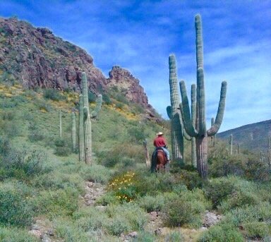 THE BIRD RANCH - Updated August 2025 - Request Information - 10 Photos ...