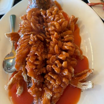 SPICY BANDA - Updated June 2024 - 235 Photos & 127 Reviews - 2110 ...