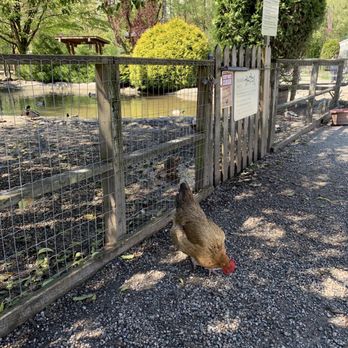 MAPLEWOOD FARM - Updated May 2024 - 252 Photos & 44 Reviews - 405 ...