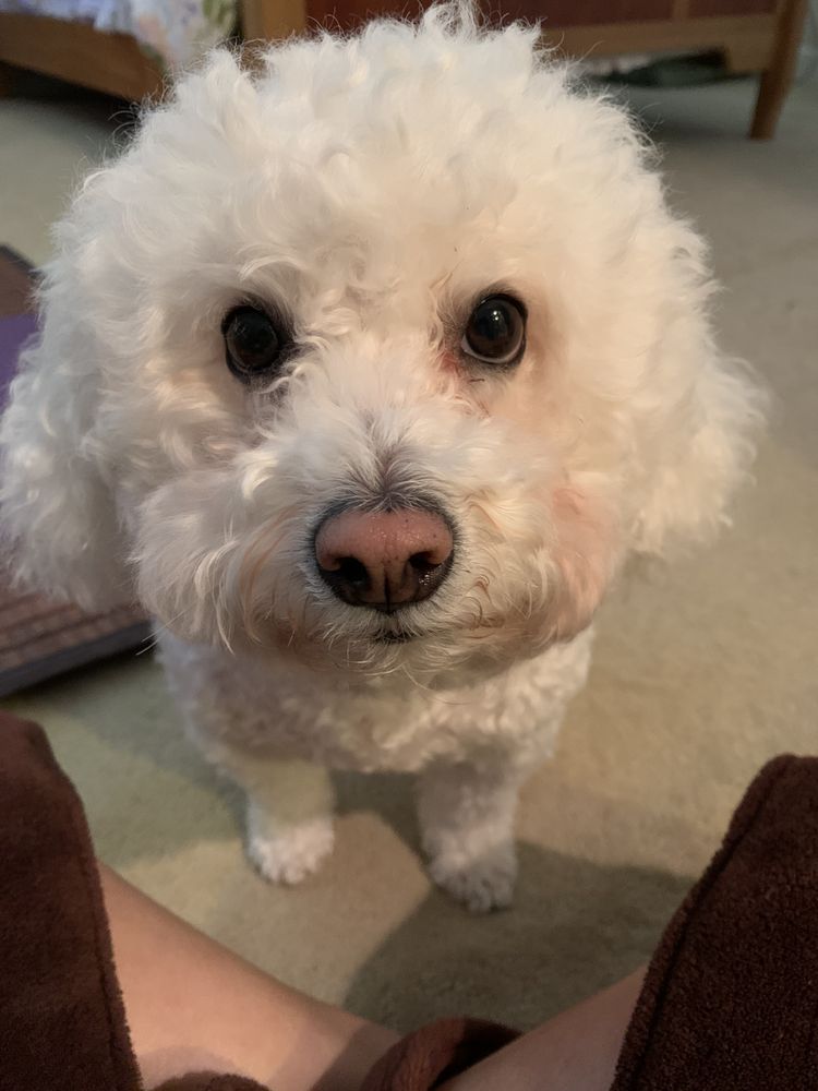 WORLD VISION OPTOMETRY - Updated December 2025 - 48 Reviews - 2633 ...