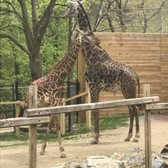 LEHIGH VALLEY ZOO - 84 Photos & 52 Reviews - 5150 Game Preserve Rd ...