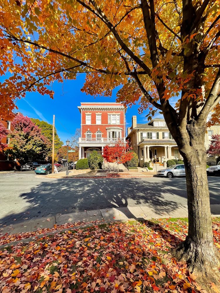 MONUMENT AVENUE - Updated October 2024 - 70 Photos & 20 Reviews - 3321 ...