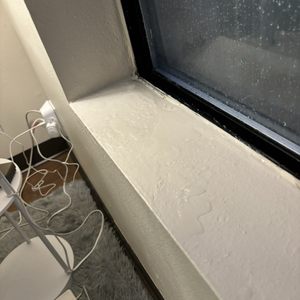 ARBOREAL MANAGEMENT - Updated December 2025 - 1500 Fairview Ave E ...