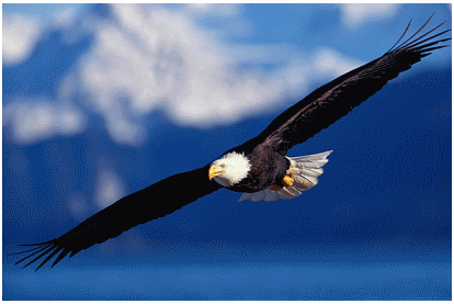 ACCC INSURANCE COMPANY - Updated September 2025 - 390 Benmar Dr ...