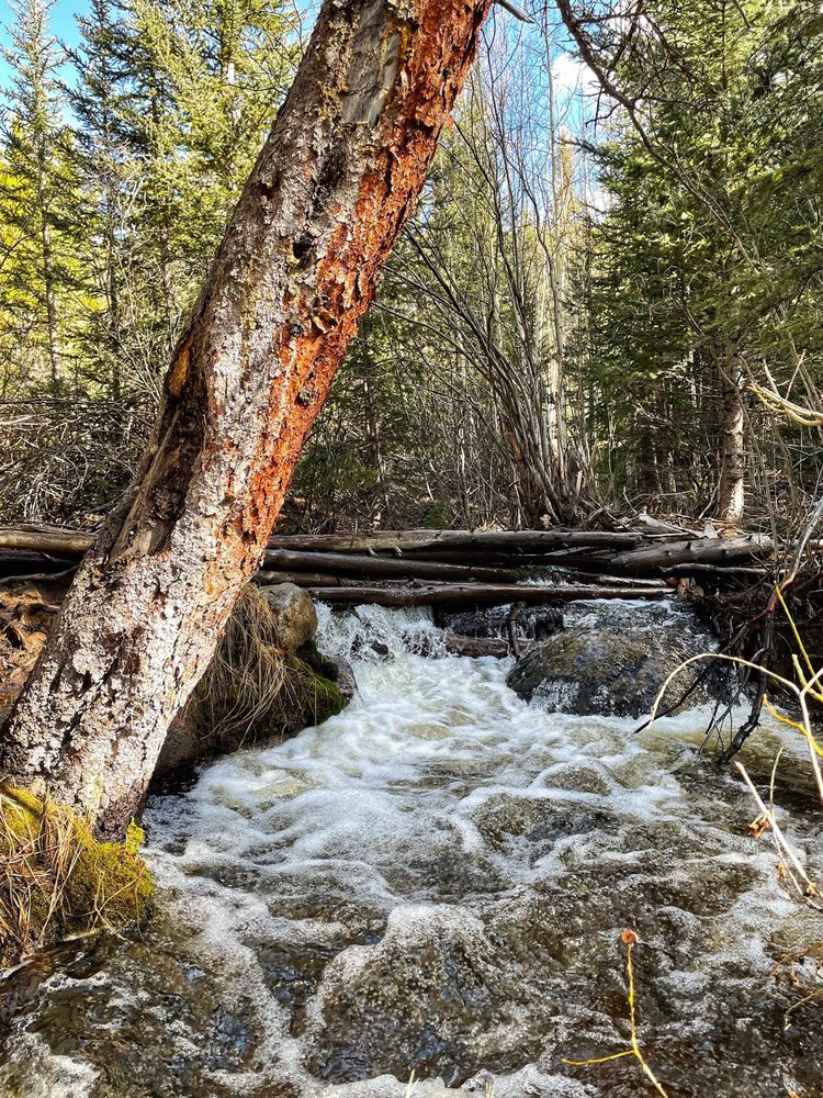 RICH CREEK TRAILHEAD - Updated April 2026 - 21 Photos - Fairplay ...