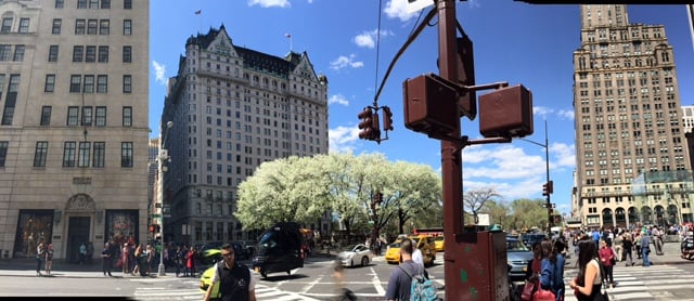 PHIL F SHAY, DDS MS - Updated January 2026 - 34 Reviews - 30 E 60th St ...