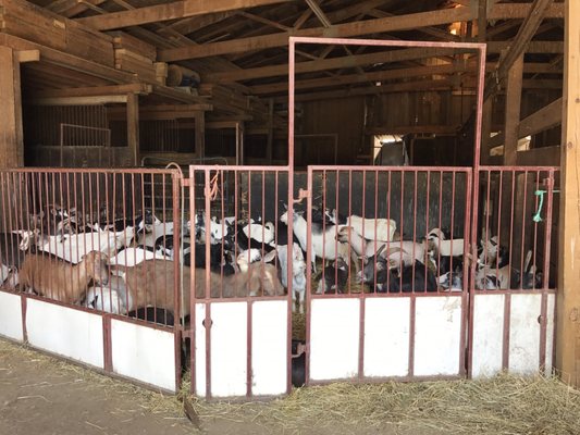 FOREST VIEW FARMS - 54 Photos & 39 Reviews - Horse Boarding - 16717 ...