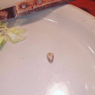 LAS RAMADAS - Updated June 2025 - 39 Photos & 58 Reviews - 22754 ...