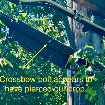 FIDIUM FIBER - Updated May 2025 - 55 Reviews - Roseville, California ...