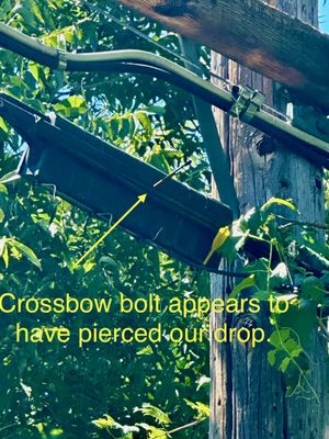 FIDIUM FIBER - Updated December 2025 - 86 Reviews - Roseville ...