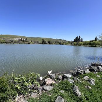 HELLYER PARK & COYOTE CREEK TRAIL - Updated May 2026 - 774 Photos & 204 ...