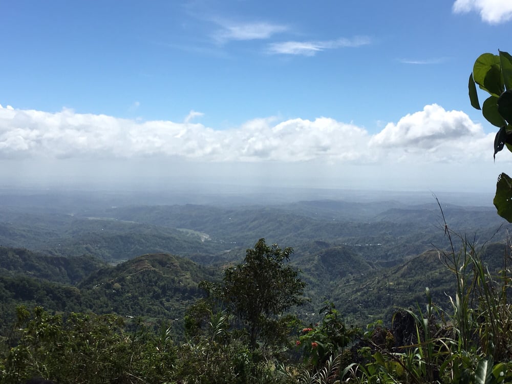 BUCARI PINE TREE FOREST - Updated March 2025 - Leon, Iloilo ...