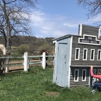 RT. 80 QUARRY RIDGE STABLES - Updated October 2025 - 28 Photos & 11 ...