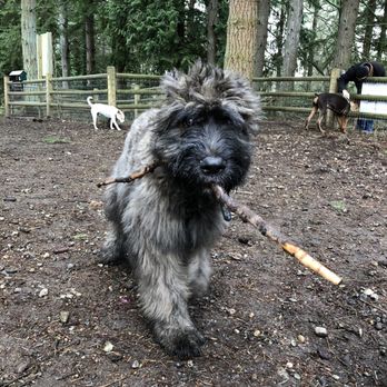 LAKE STICKNEY COMMUNITY PARK - Updated December 2025 - 16 Photos & 15 ...