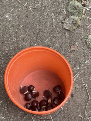 SMOKEY RIDGE RANCH - Updated September 2024 - 15 Photos & 11 Reviews ...