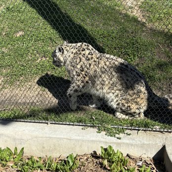 TULSA ZOO - Updated August 2025 - 529 Photos & 142 Reviews - 6421 E ...