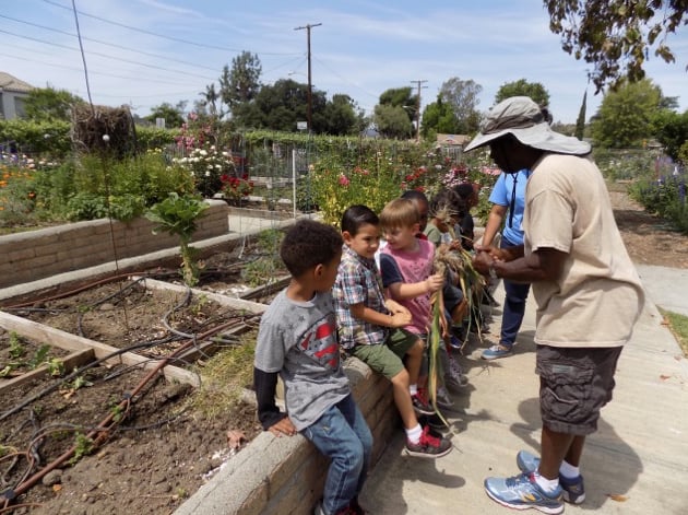 ALTADENA COMMUNITY GARDEN - TEMP. CLOSED - Updated December 2025 - 10 ...