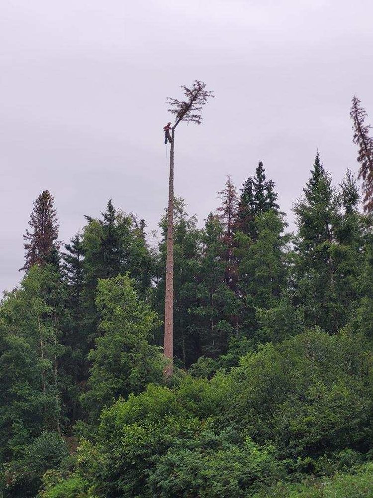 APEX TREE CARE - Request a Quote - Anchorage, AK - Yelp