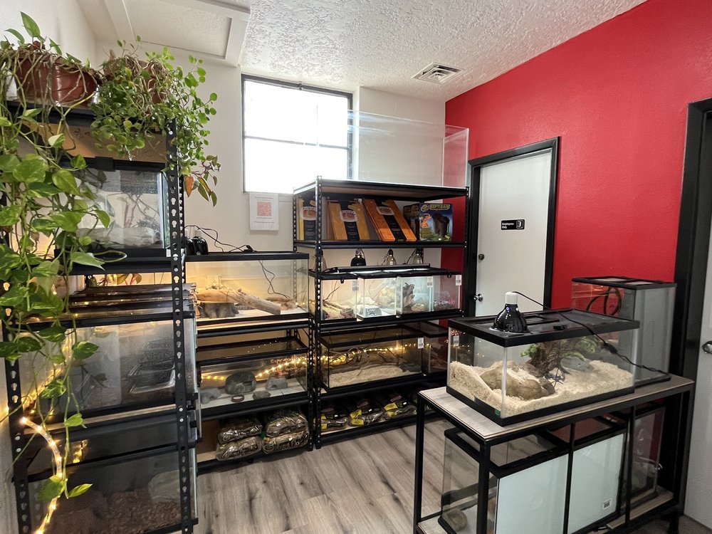 PREDATOR AND PREY EXOTICS - Updated October 2025 - 14 Photos - 3625 ...