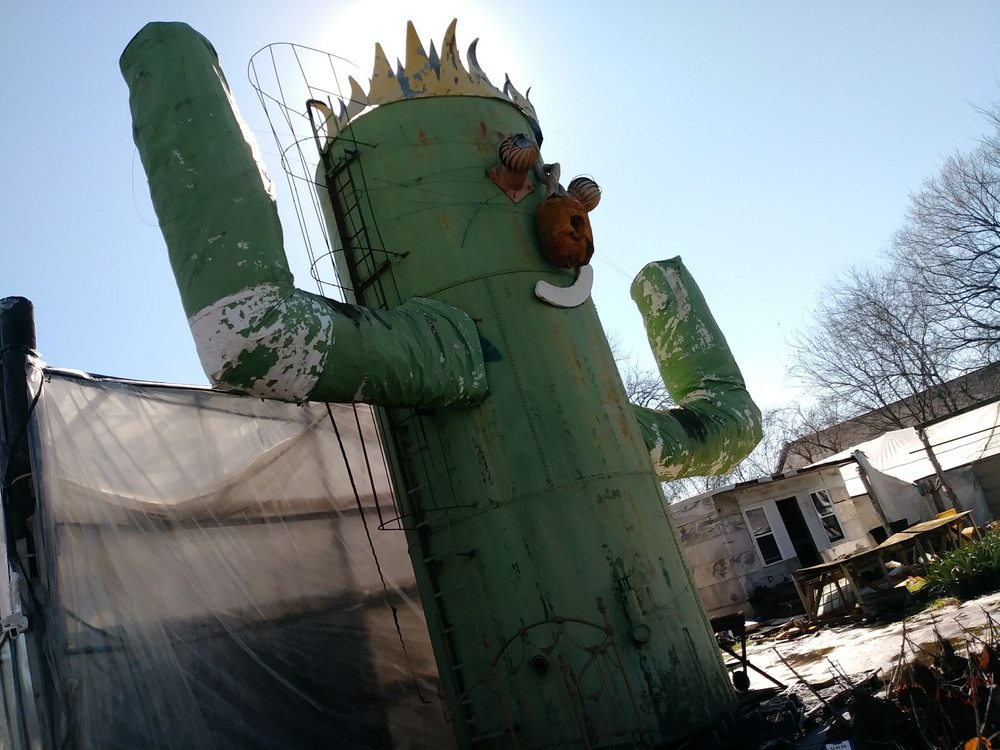 THE CACTUS KING - Updated June 2026 - 1416 Photos & 122 Reviews - 7900 ...