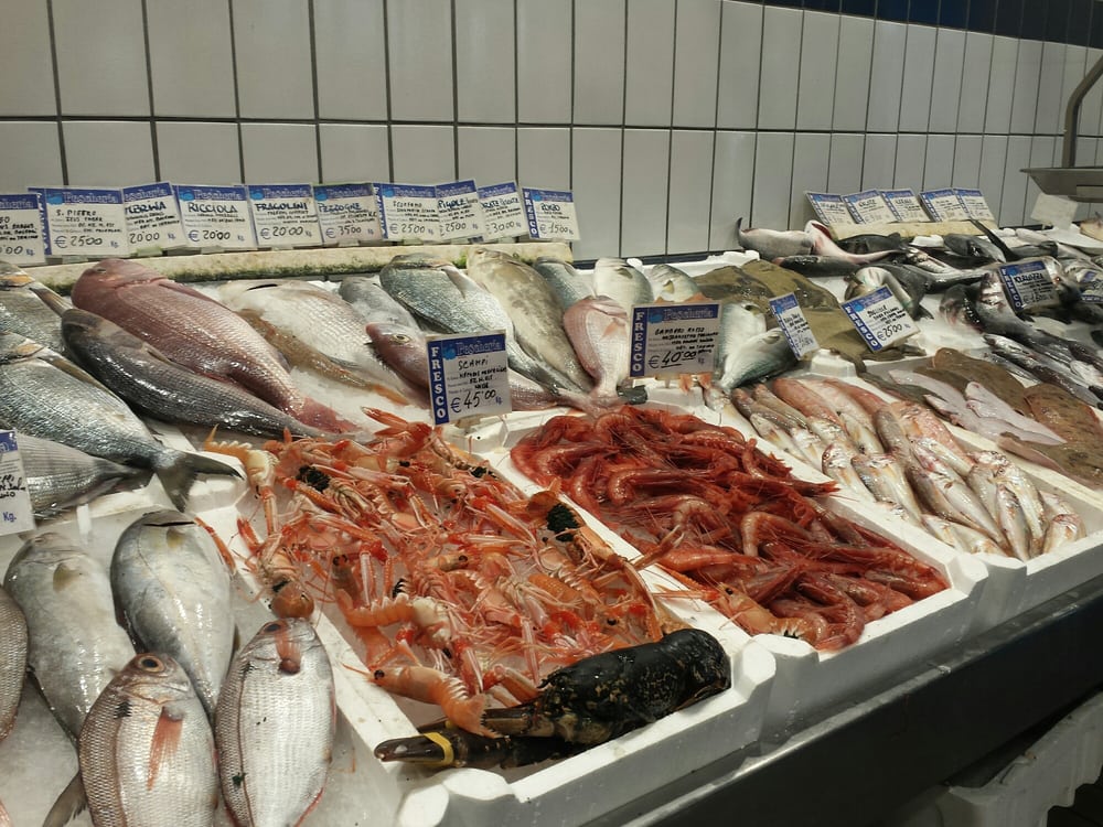 PURIFICATO - Piazza Risorgimento 5, Formia, Latina, Italy - Seafood ...