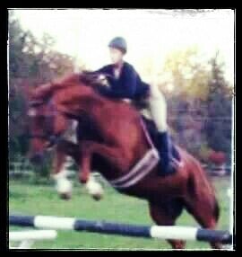 ELITE STABLES - Updated January 2025 - 8782 Kinsman Rd, Novelty, Ohio ...