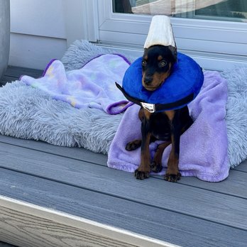 DR. BUTCHKO - Updated October 2025 - 52 Photos & 94 Reviews - 5448 ...