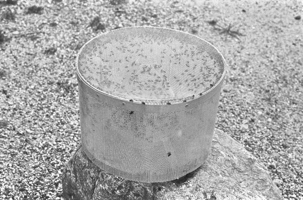 ARBICO ORGANICS - Updated September 2025 - 48 Photos & 62 Reviews ...