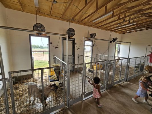 TIMBERVIEW FARMSTEAD - Updated December 2025 - 71 Photos - 4274 ...