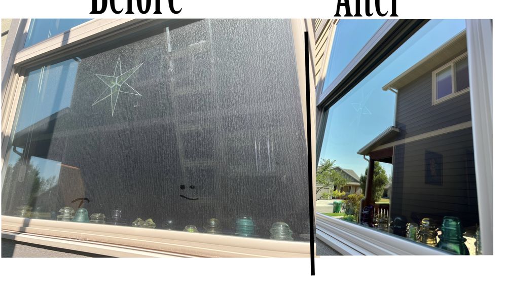 WINDOW WIZARD - Updated November 2025 - 42 Photos - 28 Naomi Rose Ln ...