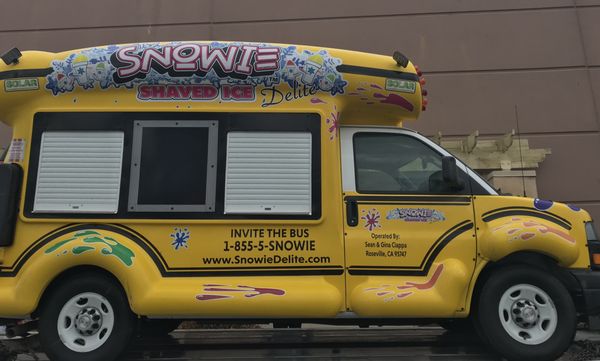 SNOWIE DELITE - Updated September 2025 - Roseville, California - Shaved ...