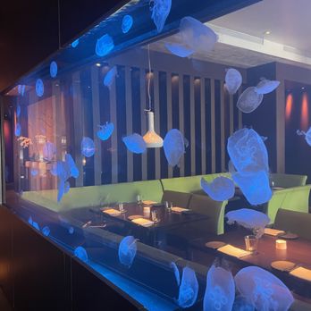 STEAK 954 - Updated July 2025 - 2087 Photos & 1285 Reviews - 401 N Fort ...