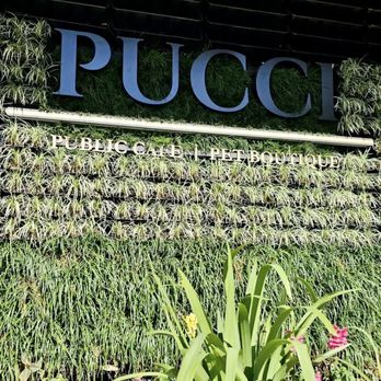 PUCCI CAFÉ - Updated June 2024 - 230 Photos & 89 Reviews - 23501 Cinco Ranch Blvd, Katy, Texas ...