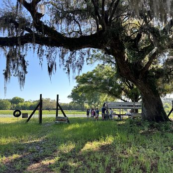 BUGBY PLANTATION U-PICK - Updated August 2025 - Bugby Plantation Rd ...