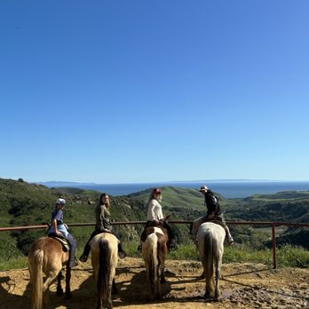 CIRCLE BAR B STABLES - Updated June 2024 - 641 Photos & 443 Reviews ...