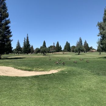 RANCHO DEL REY GOLF CLUB - Updated March 2025 - 19 Reviews - 5250 Green ...
