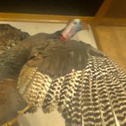 SMITH’S MANAWA STEAK HOUSE - Steakhouses - 960 Depot St, Manawa, WI ...