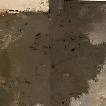 THRIVE COMMUNITIES - Updated December 2025 - 36 Photos & 53 Reviews ...