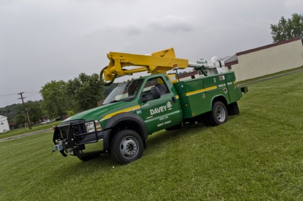 THE DAVEY TREE EXPERT COMPANY - Updated December 2025 - 29 Photos & 30 ...