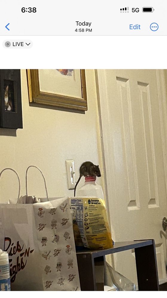 COMPLETE MANAGEMENT - Updated December 2025 - 12 Photos - 670 Myrtle ...