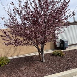 Derrel's Mini Storage Reviews | Read Customer Service Reviews of ...