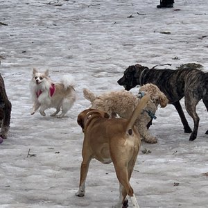 BUCKMASTER POND - 15 Photos - Lakes - 350 Pond St, Westwood, MA - Yelp