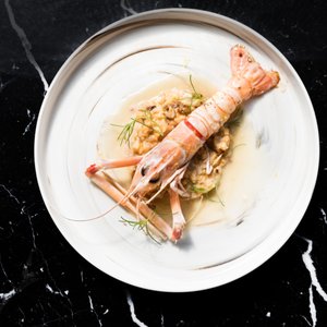 SOL MEXICAN COCINA - Updated May 2024 - 2999 Photos & 4395 Reviews ...