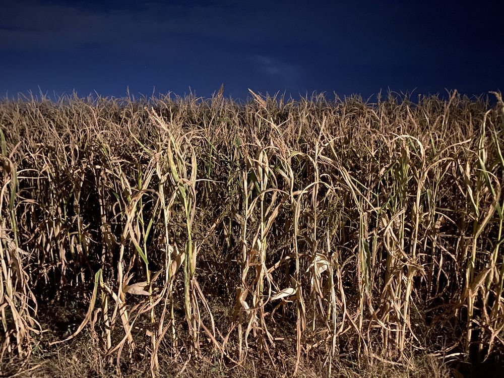 VERTUCCIO FARMS - 246 Photos & 132 Reviews - 4011 S Power Rd, Mesa ...