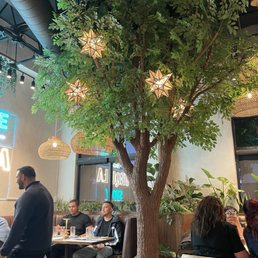 EL DON COCINA & CANTINA - Updated June 2025 - 433 Photos & 272 Reviews ...