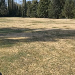 SNOQUALMIE FALLS GOLF COURSE - Updated August 2025 - 29 Photos & 32 ...