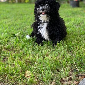 LOMA LINDA ANIMAL HOSPITAL - Updated June 2024 - 222 Photos & 657 ...