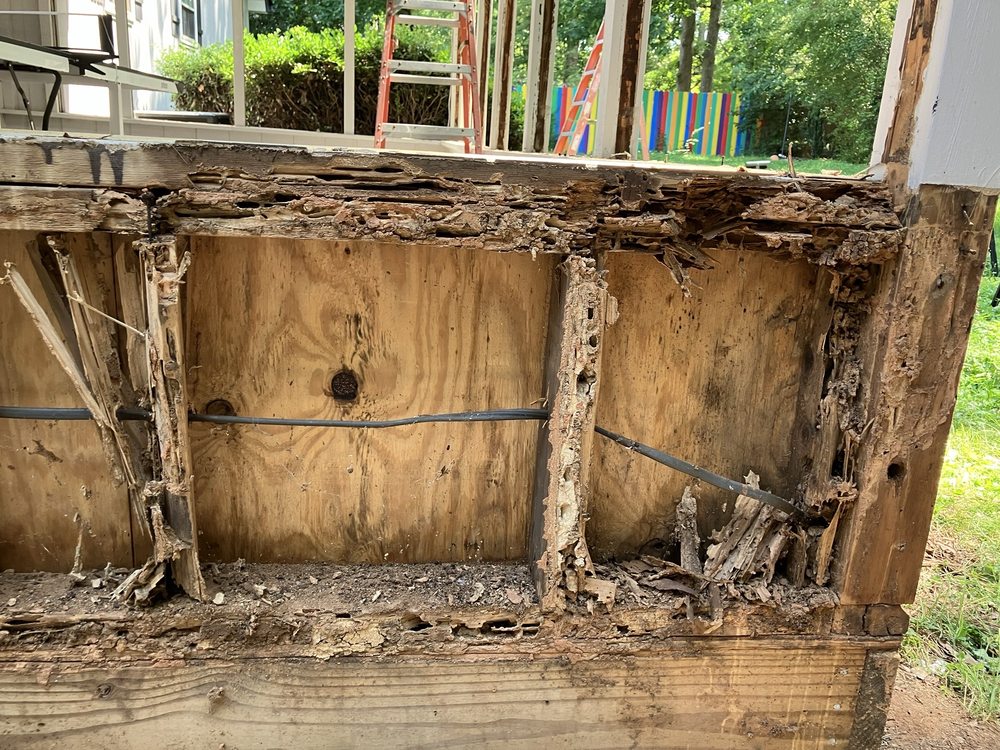 ECOSHIELD PEST SOLUTIONS - Updated August 2024 - 19 Photos & 70 Reviews ...